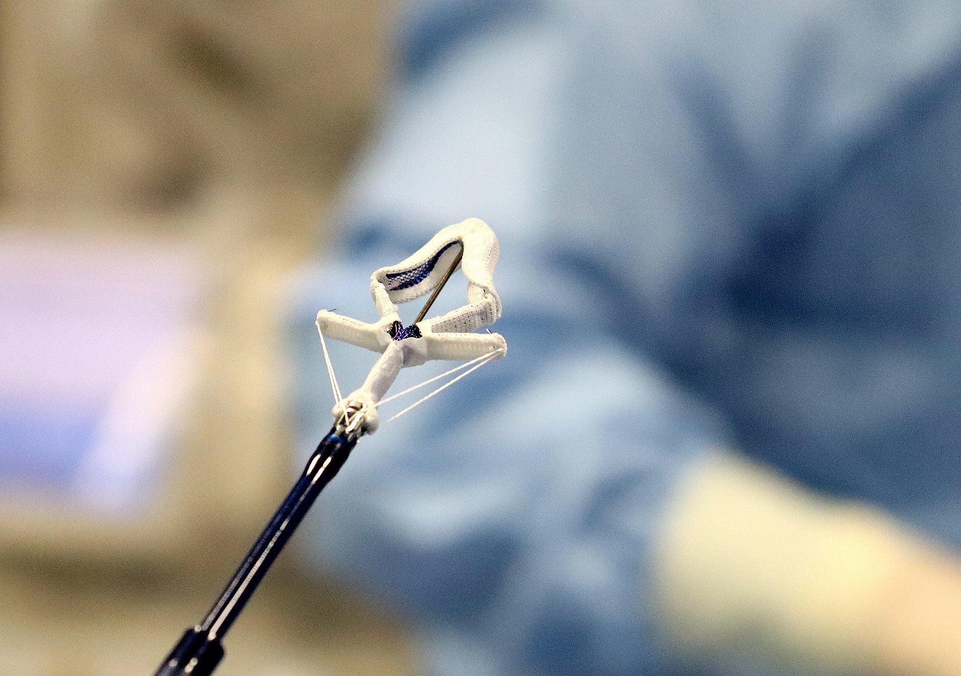 Ein Clip, der mitdenkt | HGZ Bad Bevensen